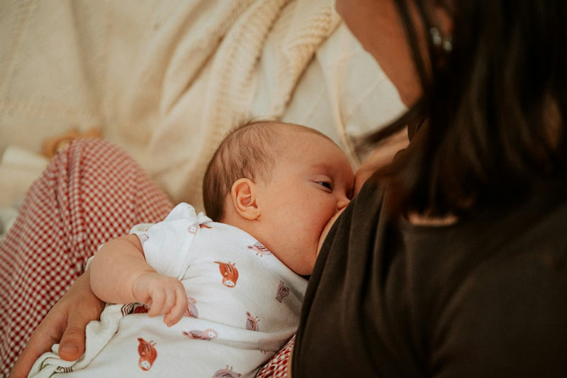 How to Fly with a Breast Pump: TSA Rules & Packing - Perifit